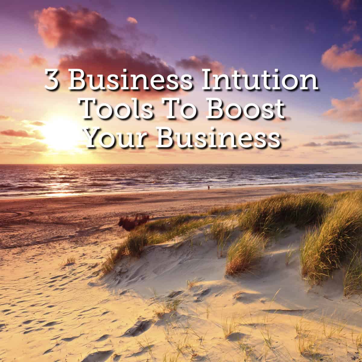 Business Intuition